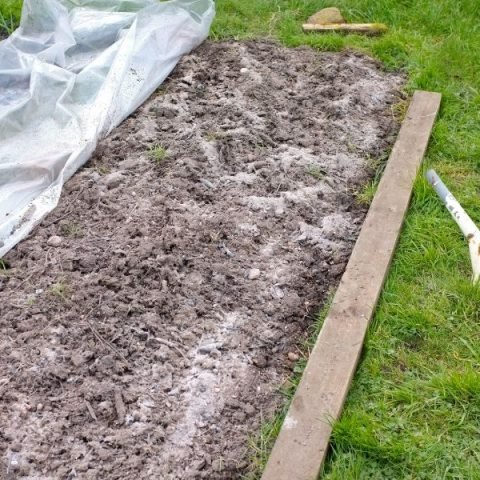 10 Creative Ways to Use Fireplace Ash (Don’t Toss It!) – Fireplace Tips