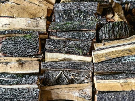 Can You Burn Cedar in a Fireplace? (Here’s the Answer) – Fireplace Tips