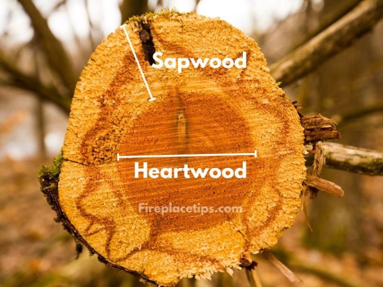 What is Seasoned Firewood? (Explained) – Fireplace Tips