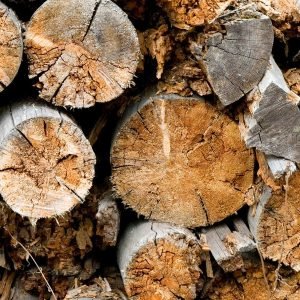 Can Firewood Be Too Old To Burn? Here’s How Long It Lasts – Fireplace Tips