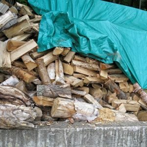 Can Firewood Be Too Old To Burn? Here’s How Long It Lasts – Fireplace Tips