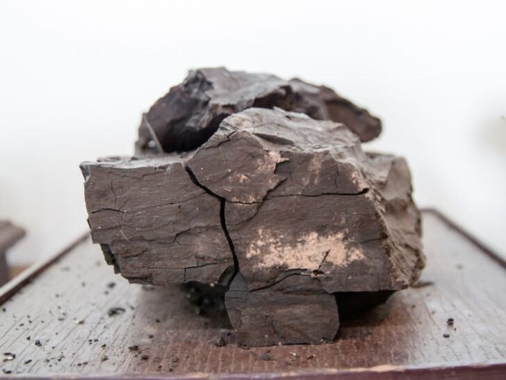 Coal vs Charcoal (Grilling, Temperature, Burn Time, & More) – Fireplace ...